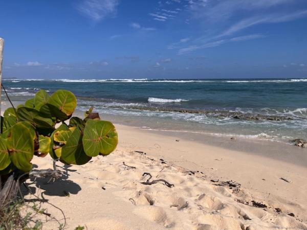 Kay Soley La - Guadeloupe