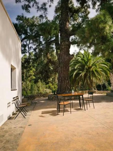 Hermosa Casa Con Vistas Al Jardin - Garachico