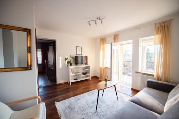 Angelica Apartment - Vilnius