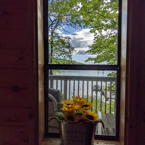 Small Beachside Cabin - Ontario