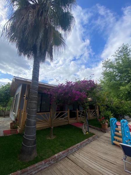 Black Cat Villa's - Çıralı