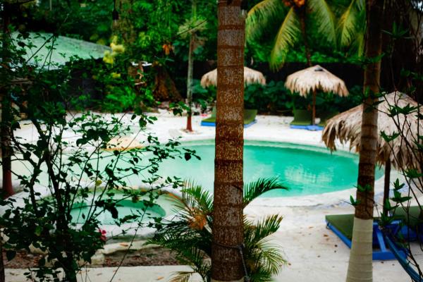 Alalunga Casas - Puerto Viejo de Talamanca