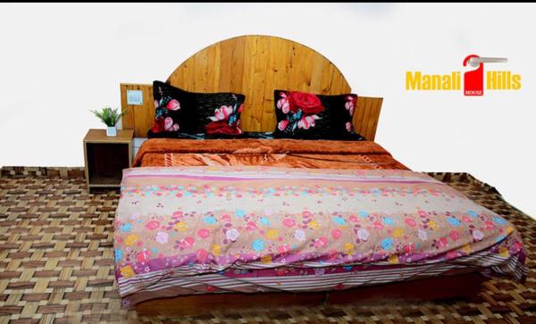 Manali Hills House - Manali