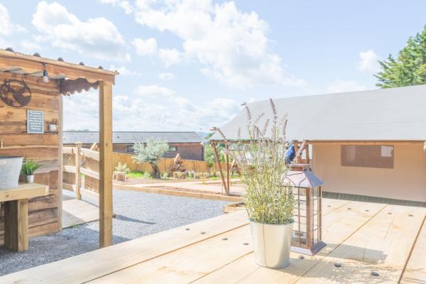 Stags Head Safari Tents - Newton Abbot