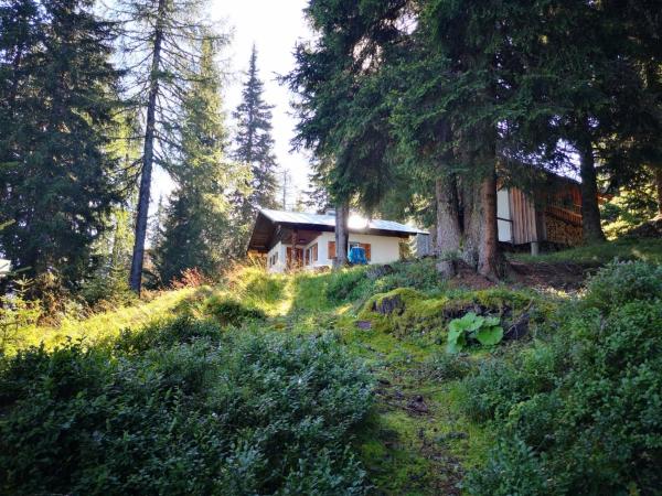 Almhütte Auf 1850 Höhenmeter - Schladming