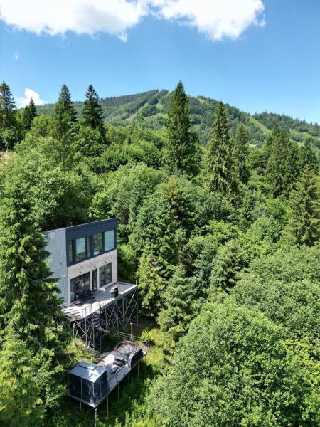 Forest Hub - Ucrania
