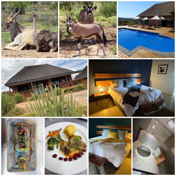 Klein Karoo Game Lodge - Oudtshoorn