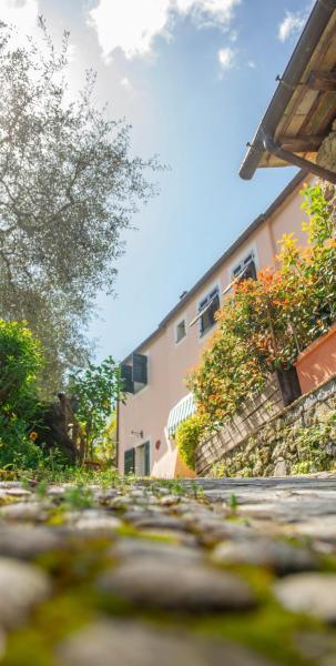 Agriturismo Villa Caterina - Levanto