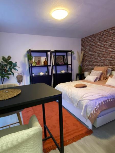 Studio Douillet Tout Confort 3 - Wifi - Parking Gratuit - Weißenburg