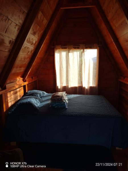 Glamping Osa Mayor - Costa Rica