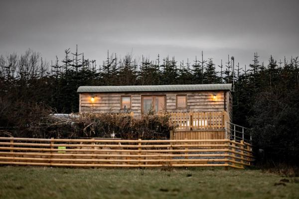 Gower Fresh Shepherds Hut - The Mumbles