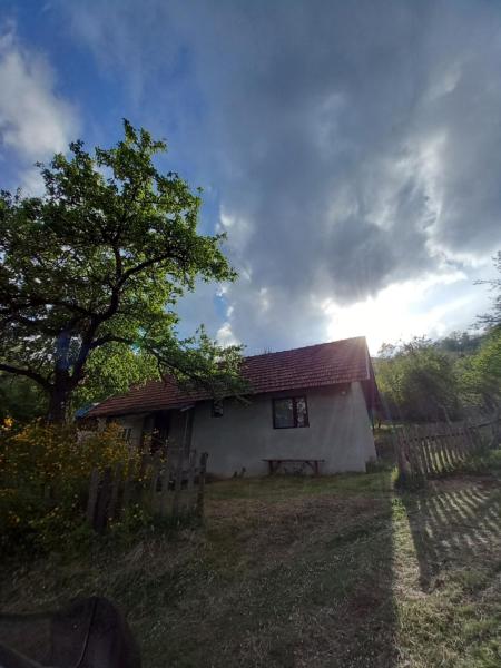 Bistro Village House - Prijepolje