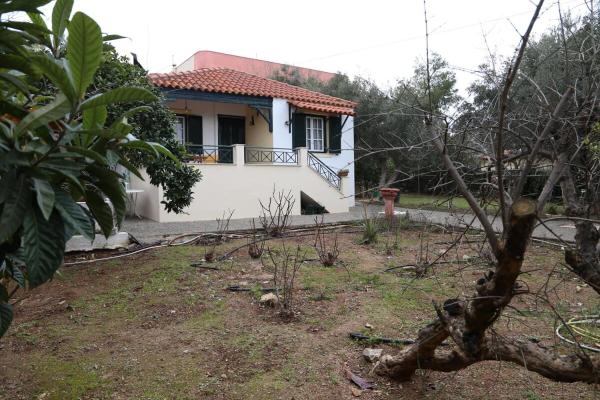 Babis Garden Salamina - Элевсин