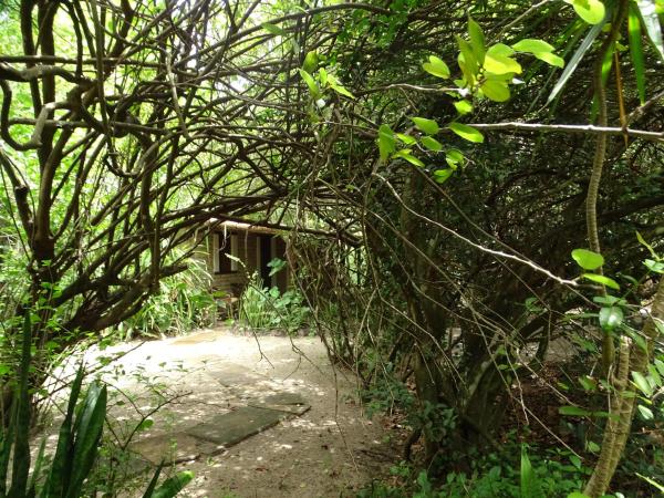 Jungle House - São Miguel do Gostoso