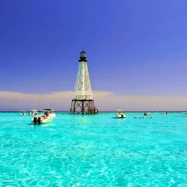 Ocean Pointe Resorts 3410 Boho - Tavernier, FL
