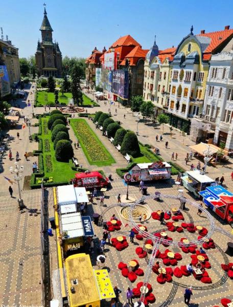 Alex Center Apartment - Timișoara
