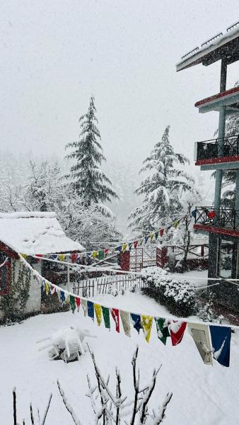 Red House Cafe And Inn - Manali