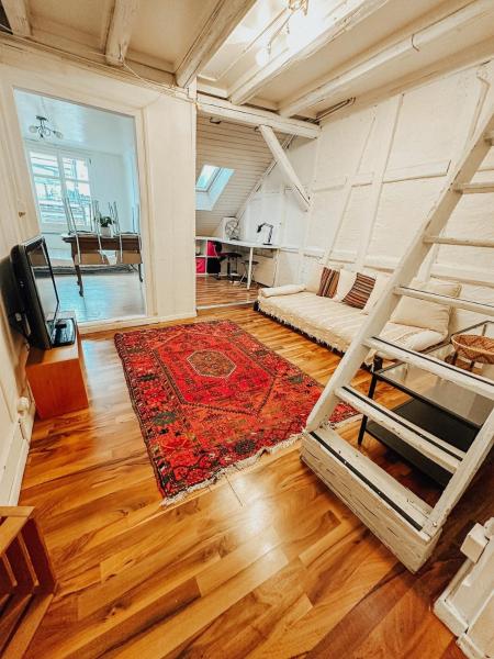 Central City Apartment With Terrace - St. Gallen
