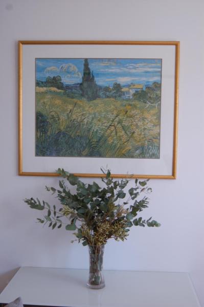 Affordable Full House For Family And Pet Friendly - Adelaide