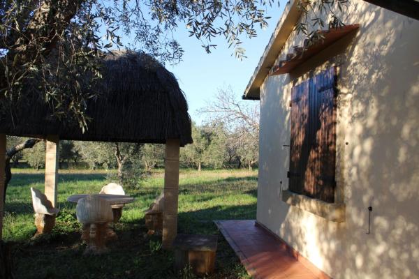 Cottage With A Great Fenced Garden In The Tuscan Countryside - Cecina