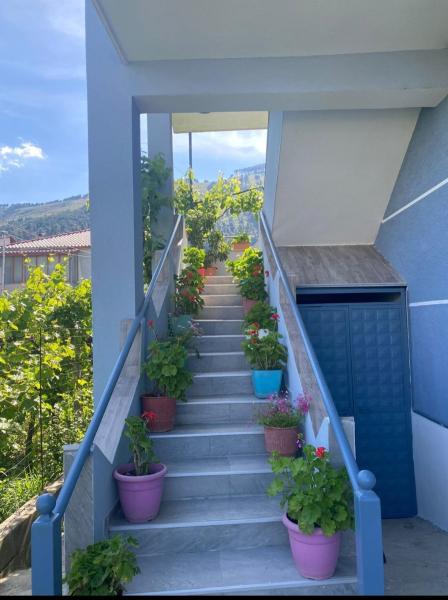 Guest House Zotkaj - Albania