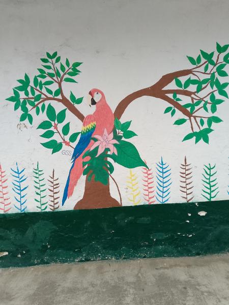 Tokio - San Agustin, Huila, Colombia