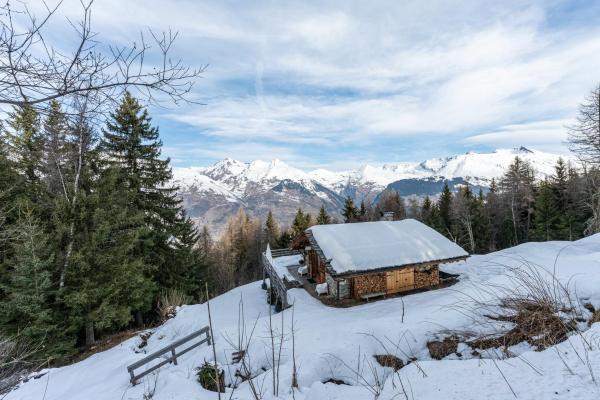 Chalet Plan Devin - Arc 1800