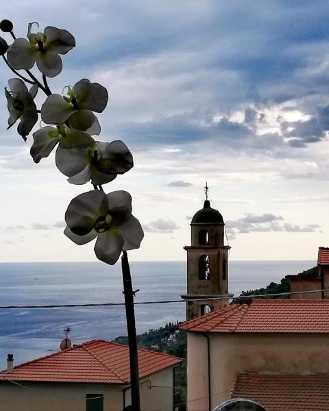 Dolci Risvegli Appartamento Vista Mare - Sospel