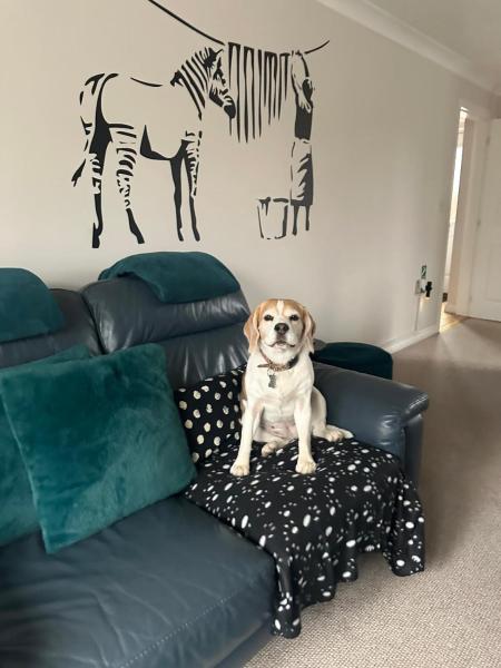 Hereford - Finch House - Modern 4 Bedroom House Located In South Hereford, Dog Friendly With Nearby Countryside, Pool Table, Sleeps Up To 10 Guests - Hosted By Rentmyhouse - England
