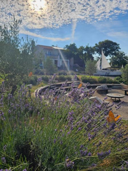 Boutique Resort Osma - Adults Only - Njivice