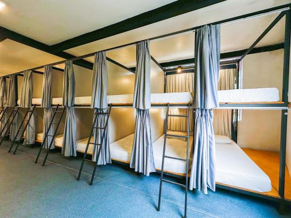Laika Hostel - São Sebastião