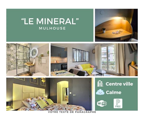Le Minéral - Prox Centre-ville, Parking Souterrain - ibis Mulhouse Ile Napoleon