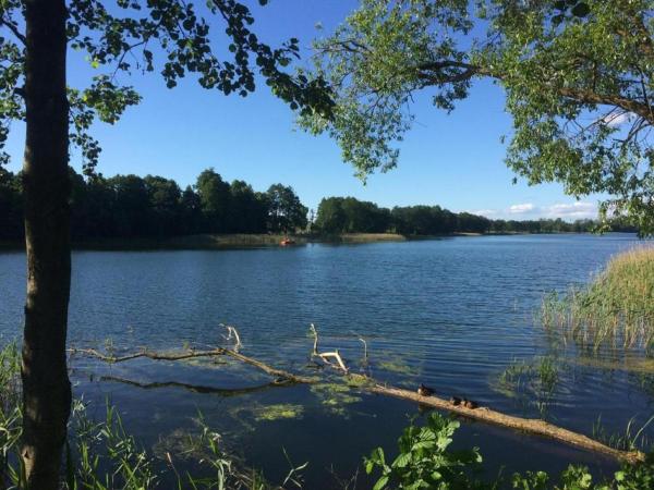 Domek Dla Młodzieży I Dorosłych W Sercu Mazur Różana - Mazury