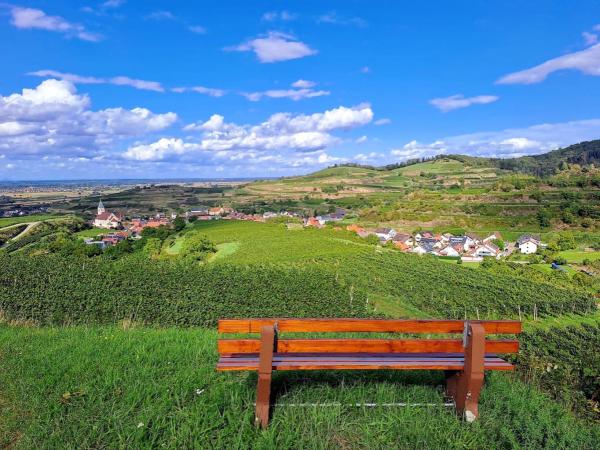 Gästehaus Weingut Mangel - Sélestat