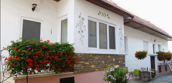 Appartementhaus Ludwig - Illmitz