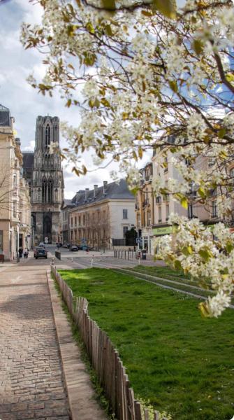 Appartement Au Pied De La Cathédrale - Reims Centre - ibis budget Reims Thillois