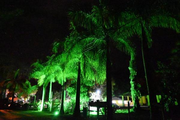 Tangaras Da Serra - Macaé