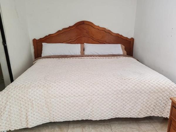 Beautiful Apartment Near The Guadalupe Walkway - San Cristóbal de las Casas