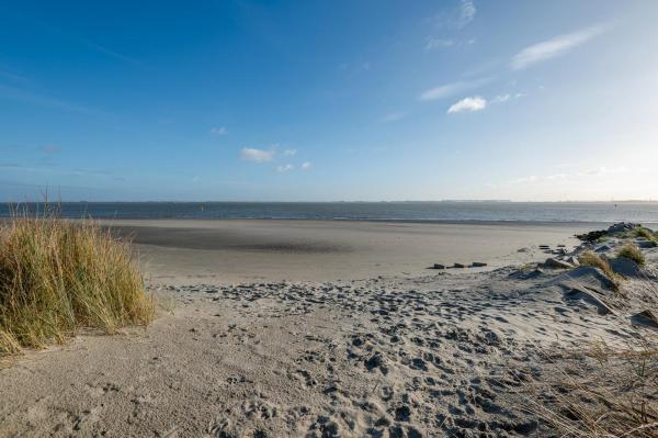 De Strandloper Vakantiehuisje Aan Het Strand - Ferienwohnung Am Meer - Terneuzen