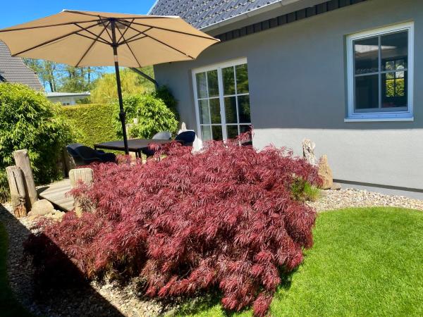 Ferienhaus Buhne 31 - Darß-Zingst, Alemania