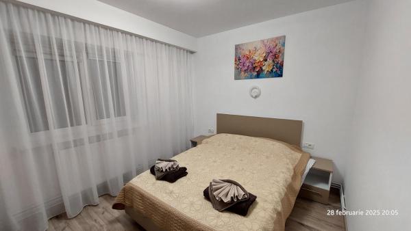 Targu Jiu Central Apartment - Târgu Jiu