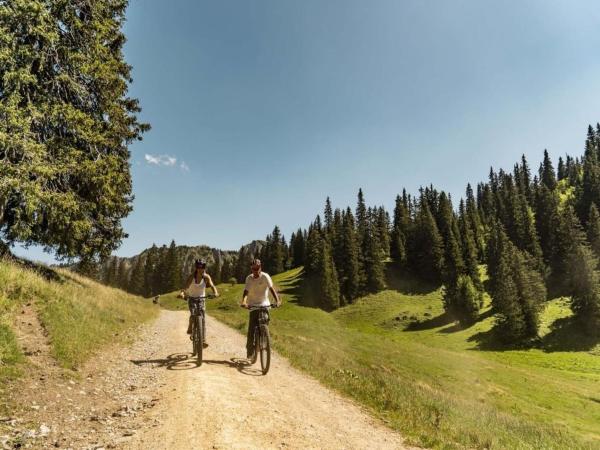 Fermes Apartment For 5 People - Les Portes du Soleil