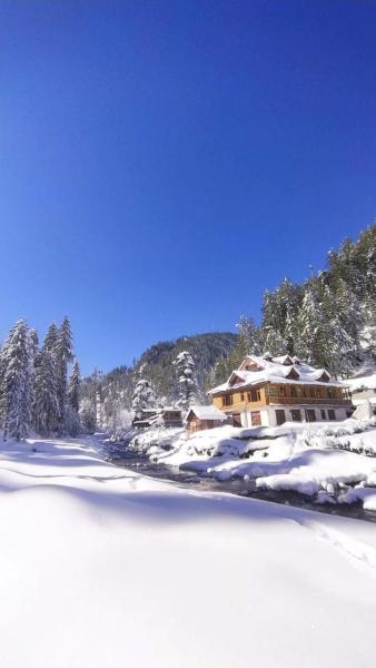 Shiva Valley Riverside Homestay - Mandi