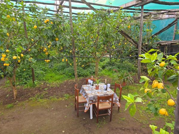 The House In The Green - Piano di Sorrento