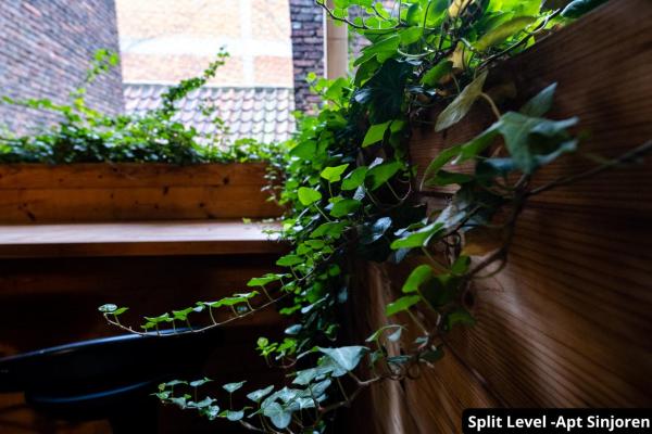 Cityhome Antwerp Historic Center - Temse