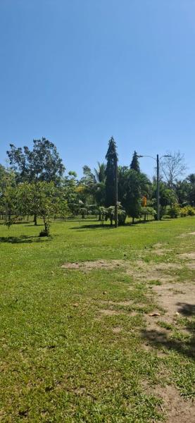 Cacao Chalet Ii - Honduras