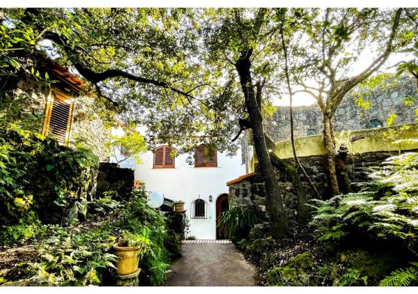Villa Talia Sweet Rooms B&b - Ischia