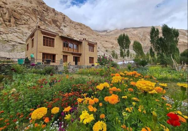 Cho Ecostay Teri - 레