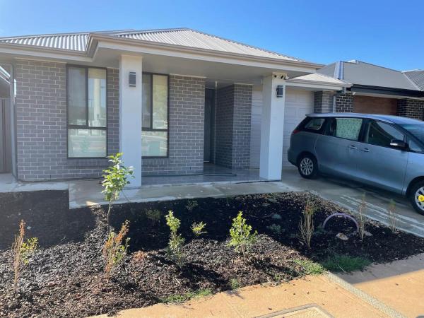 Modern Brand New 4br Family Home Walkable To Shops - One Tree Hill