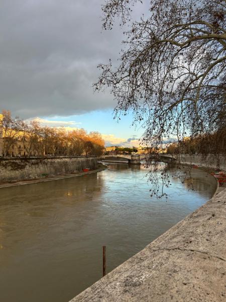 La Riva Sinistra - Rome